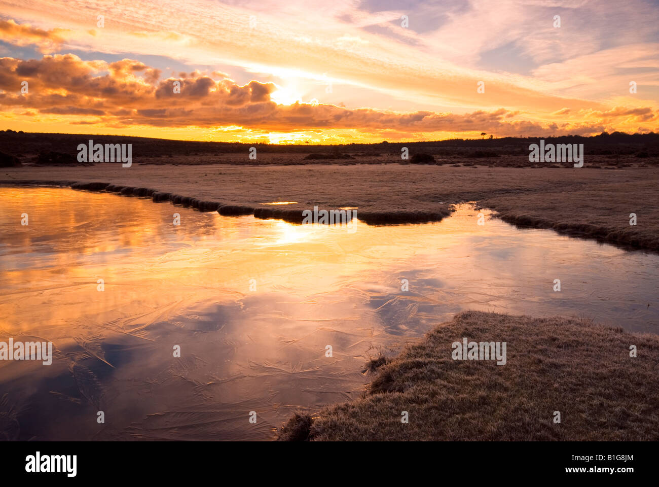 Frosty winter morning at a New Forest pond Stock Photo - Alamy