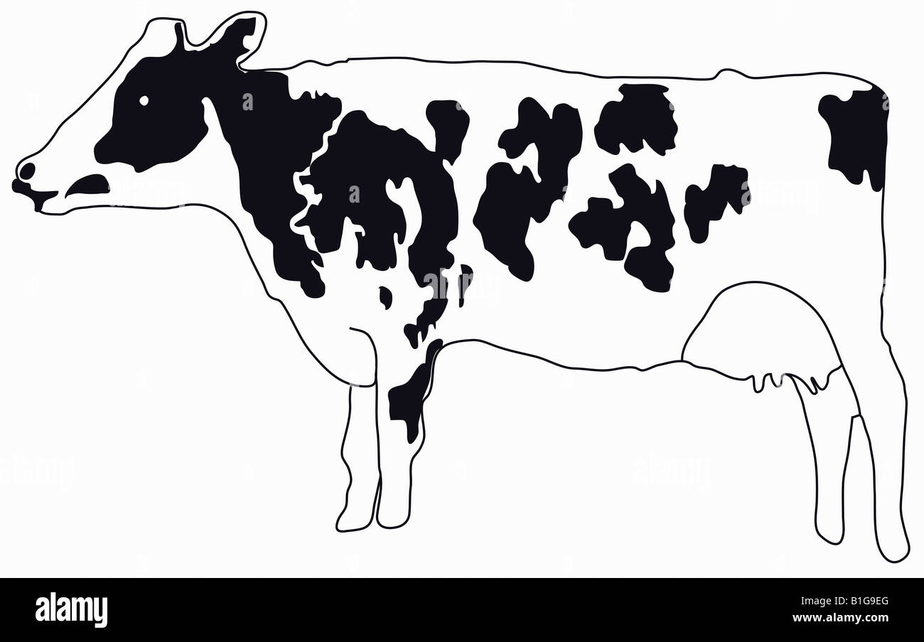 Cow illustration hi-res stock photography and images - Alamy