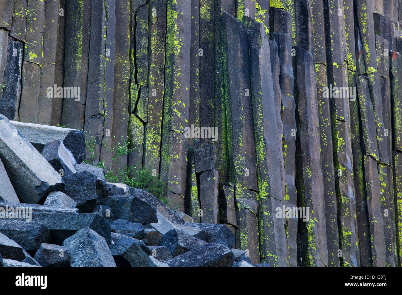 Columns of fallen rock devils postpile Stock Photo - Alamy