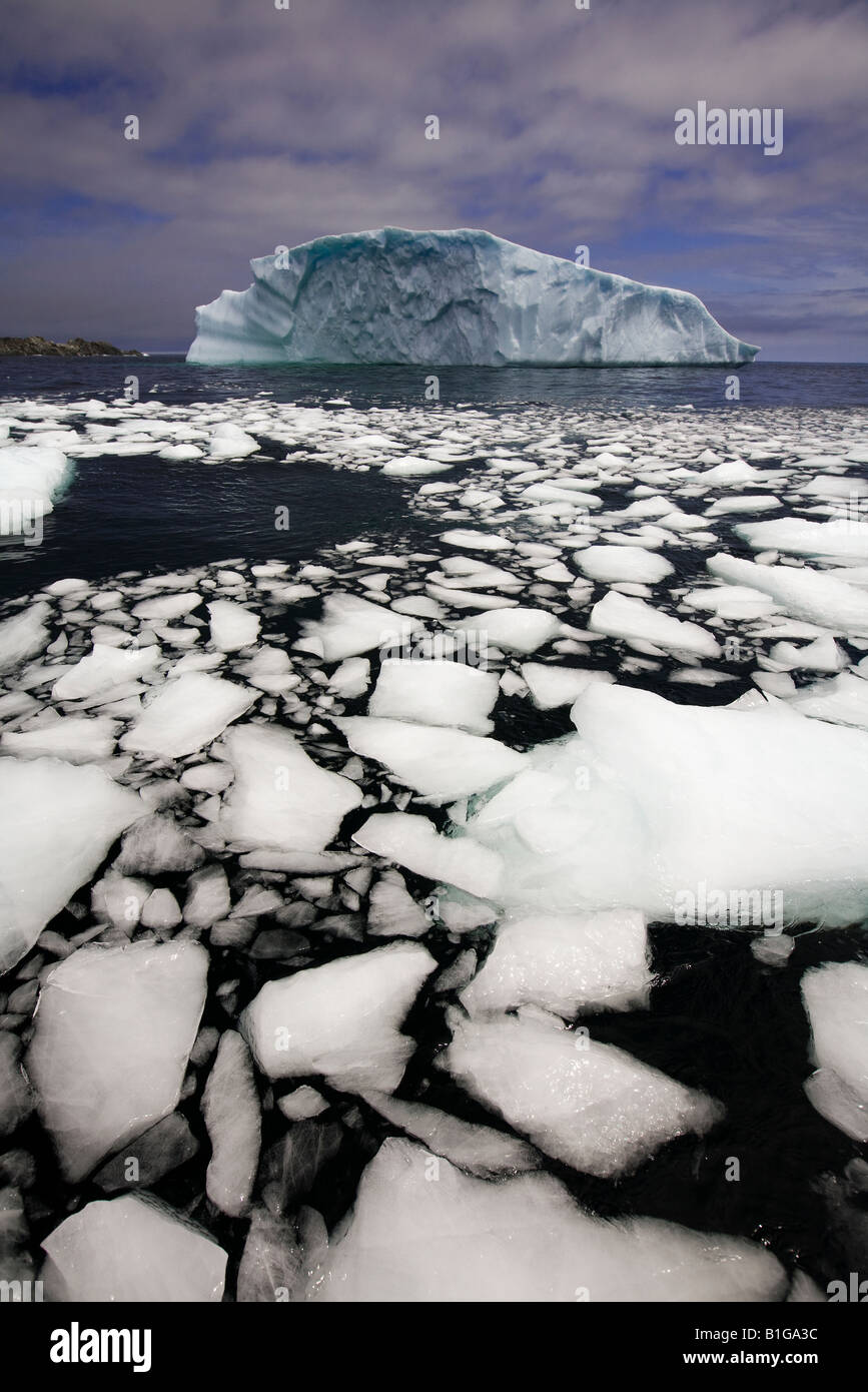 Shattered ice fragments from an iceberg float on the ocean's surface ...