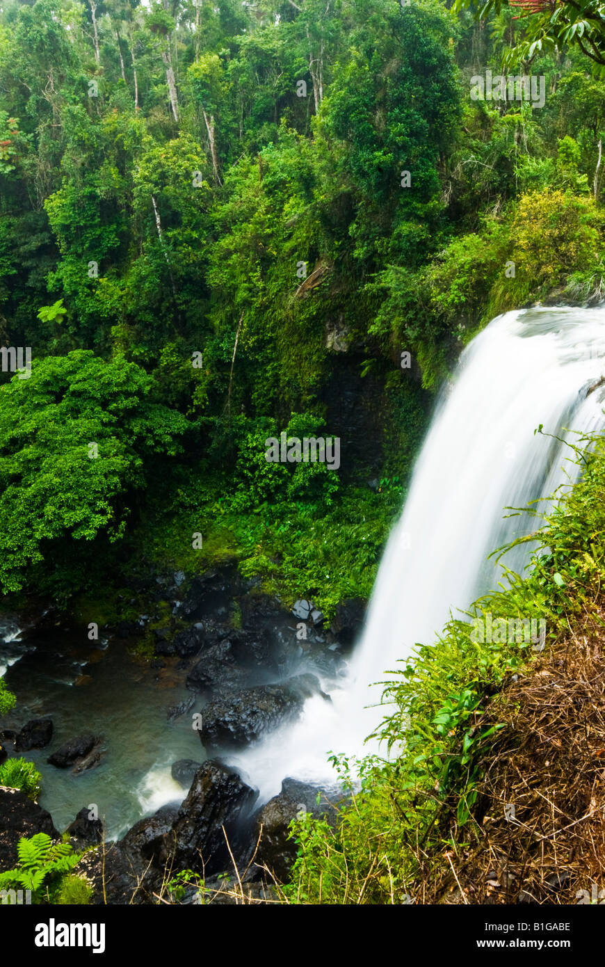 Zillie falls hi-res stock photography and images - Alamy