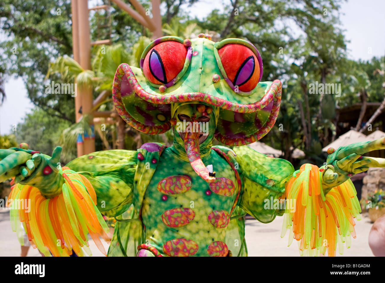 Intricate Colorful Abstract Frog Costume in the Jungala Section of ...