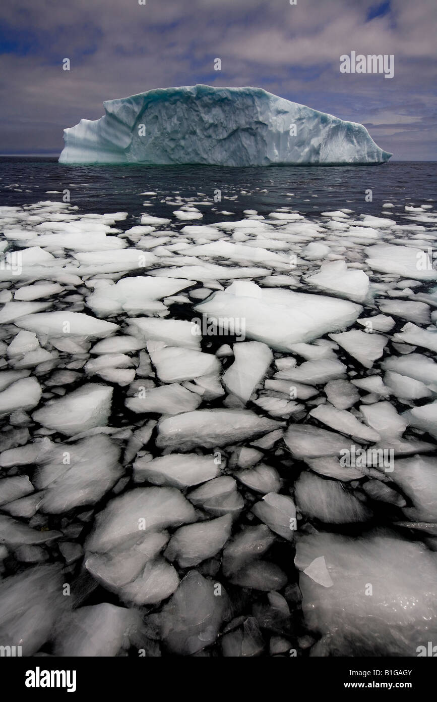 Shattered ice fragments from an iceberg float on the ocean's surface ...
