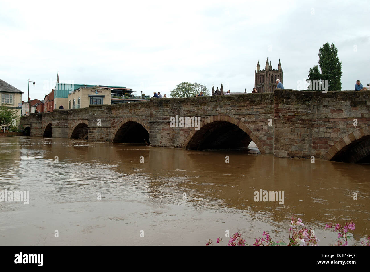 The flooded River Wye flows under the Old Bridge in Hereford Stock ...