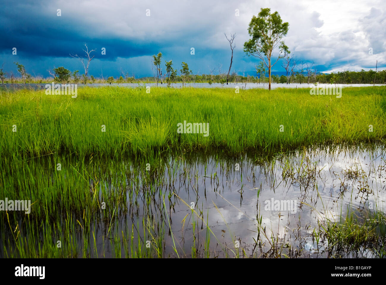 Mareeba wetlands hi-res stock photography and images - Alamy