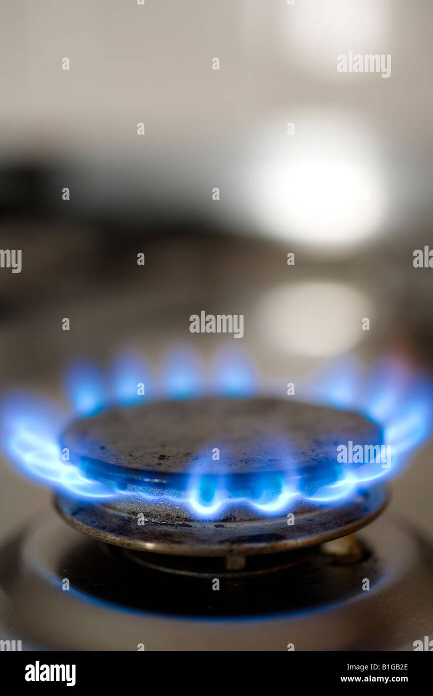 Gas flames on a domestic cooking hob Stock Photo - Alamy