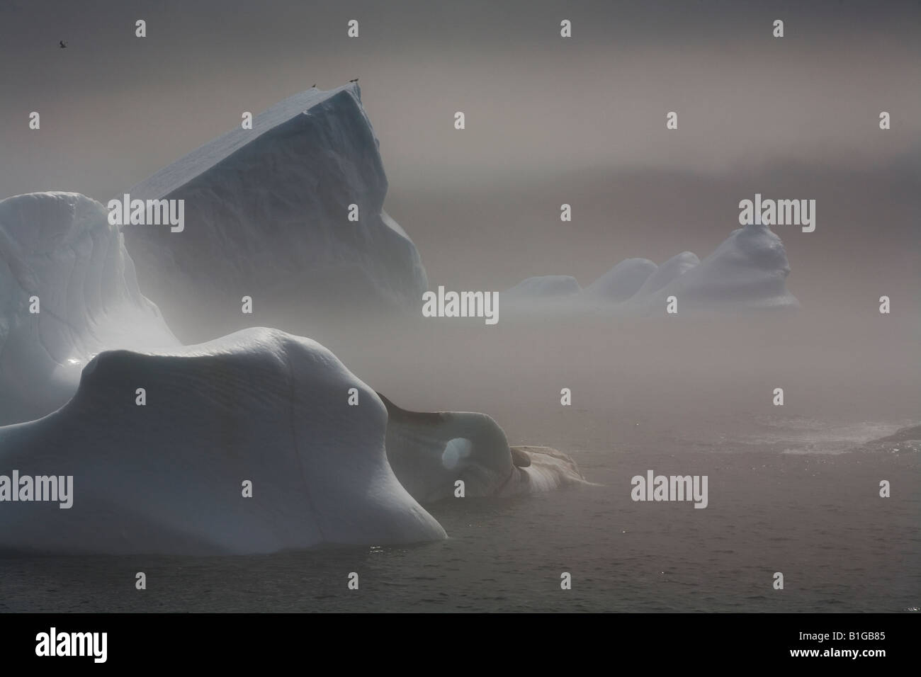 Newfoundland Labrador Quirpon Island Fog Icebergs Scenic High ...