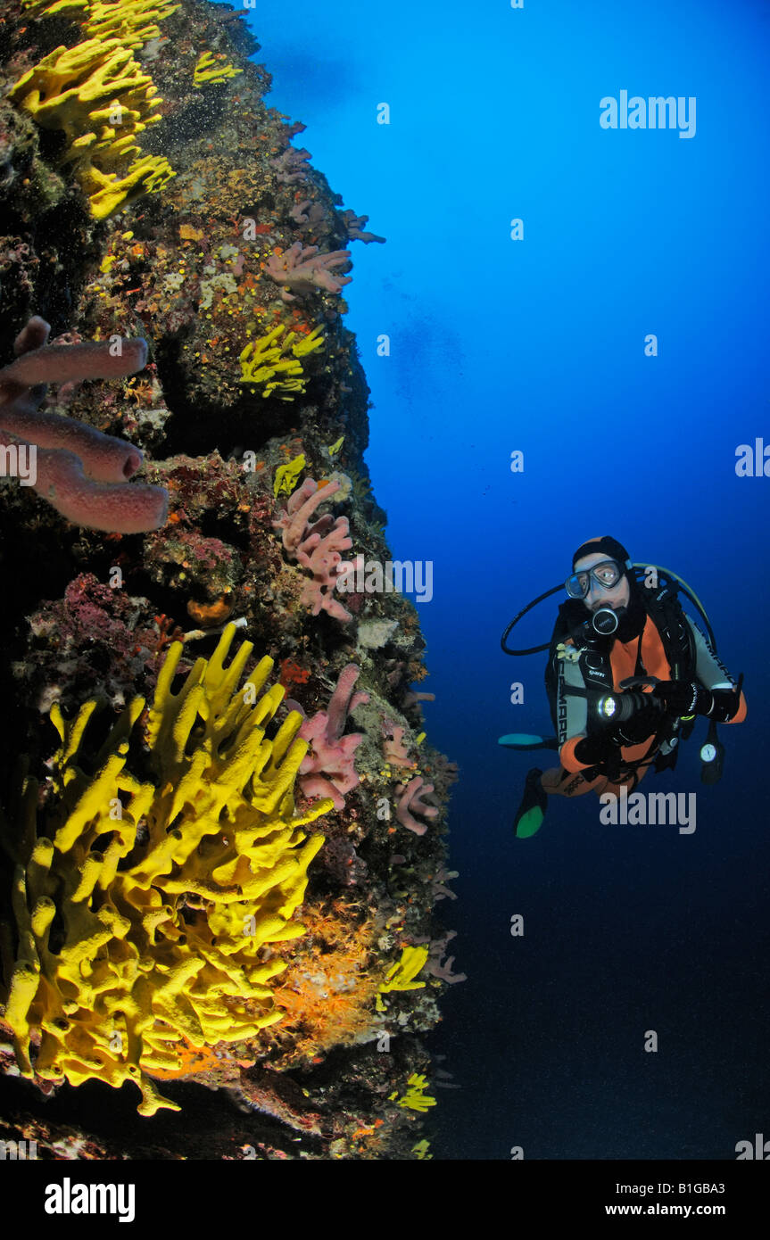 Keratosa hi-res stock photography and images - Alamy