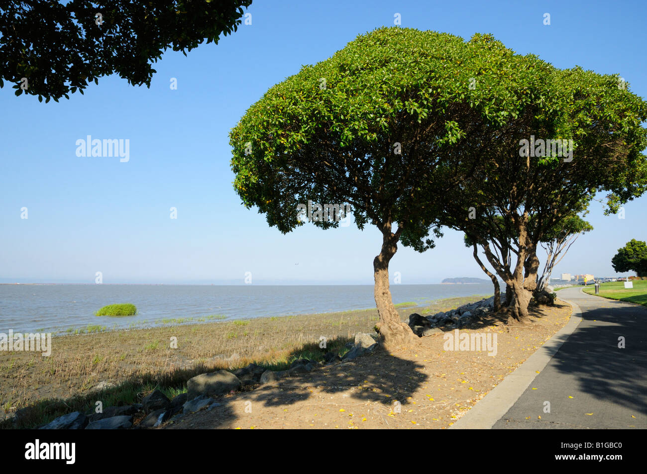 The Bay Area coast towards Coyote Point, Millbrae CA Stock Photo - Alamy
