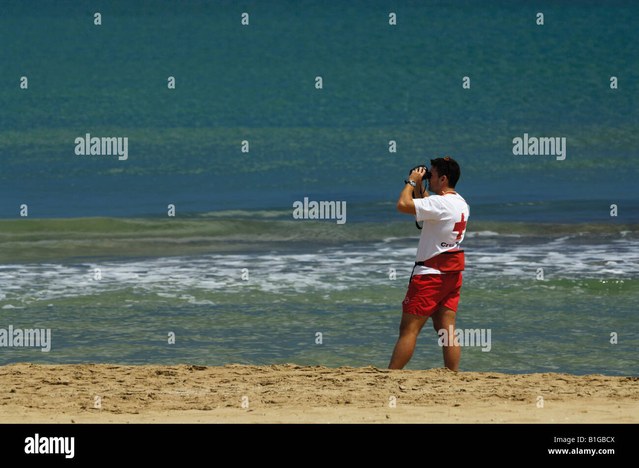 A lilfeguard keeping watch over a beach Stock Photo - Alamy