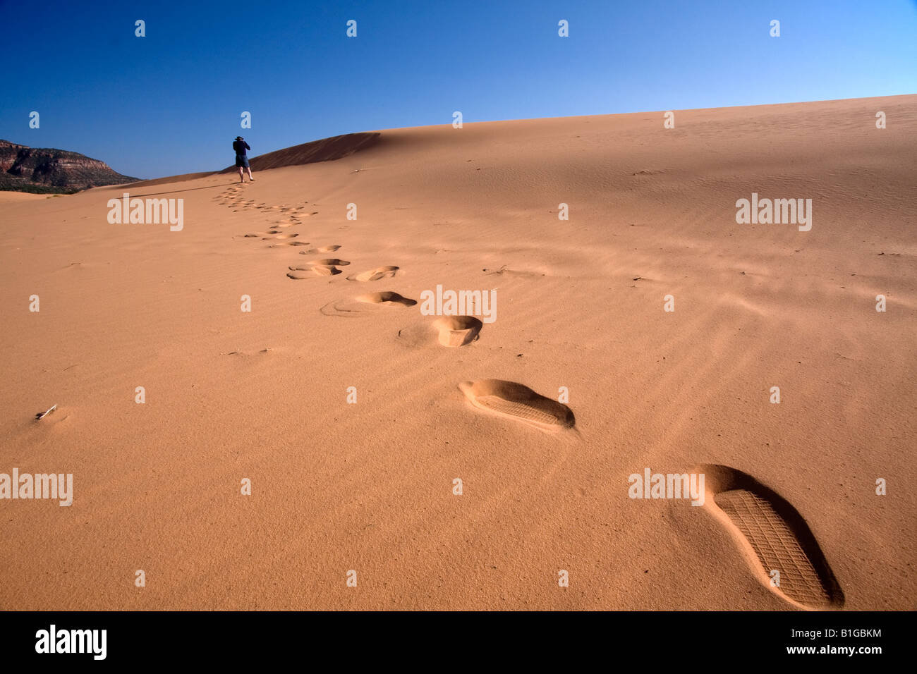 Footprints crossing a Utah Sand Dune Stock Photo - Alamy