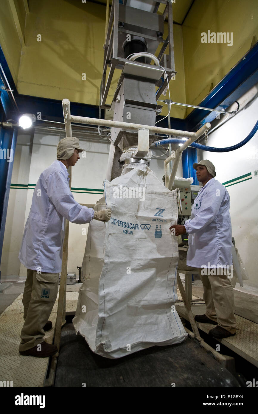 Sugar Factory Process