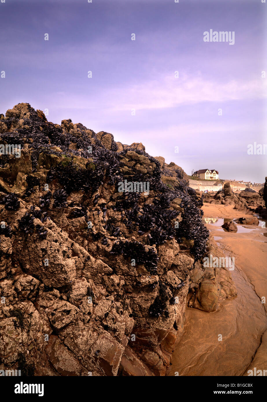 House of the mussels hi-res stock photography and images - Alamy