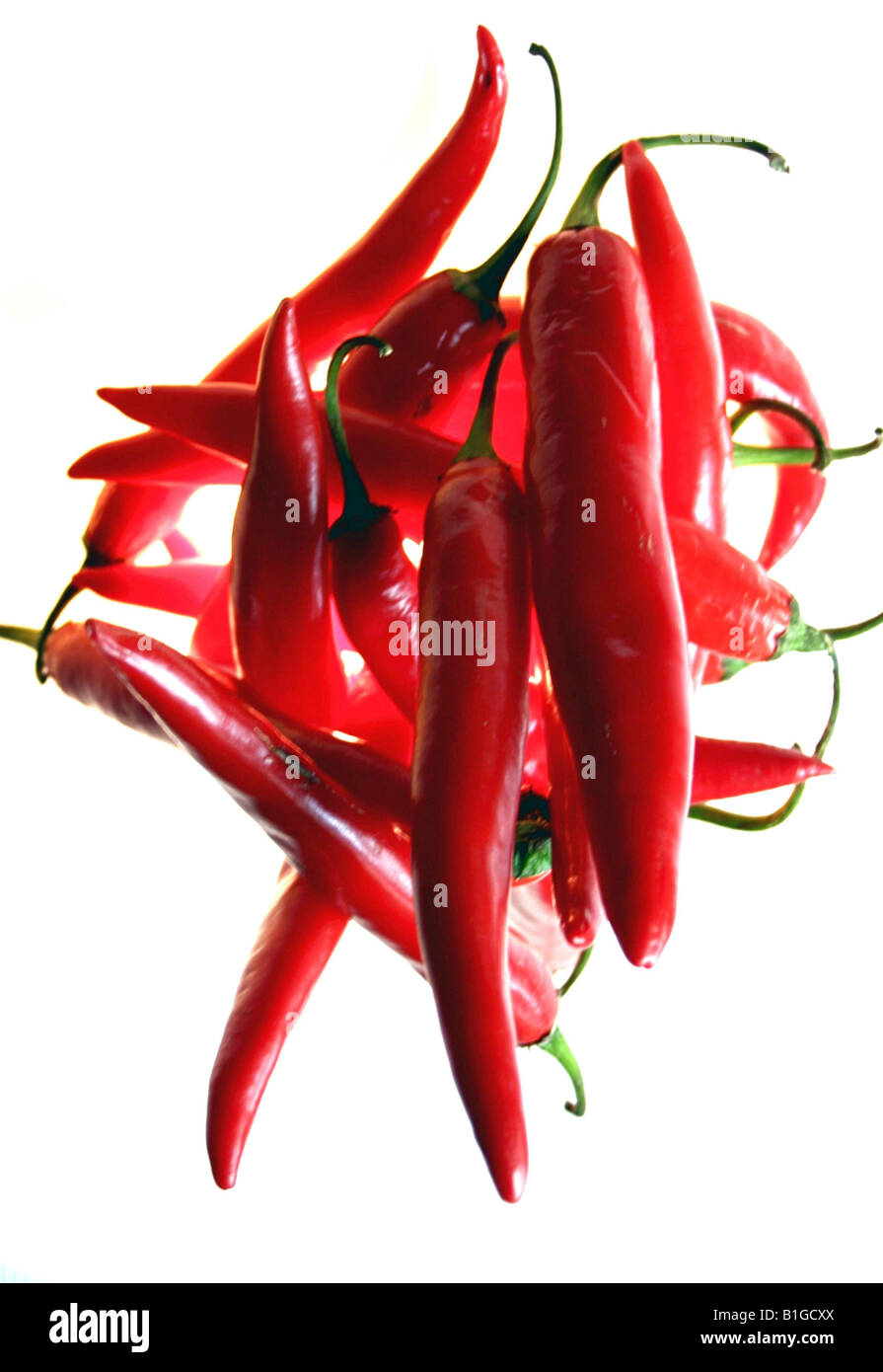 Close-up pile of red chillies against white background Stock Photo - Alamy