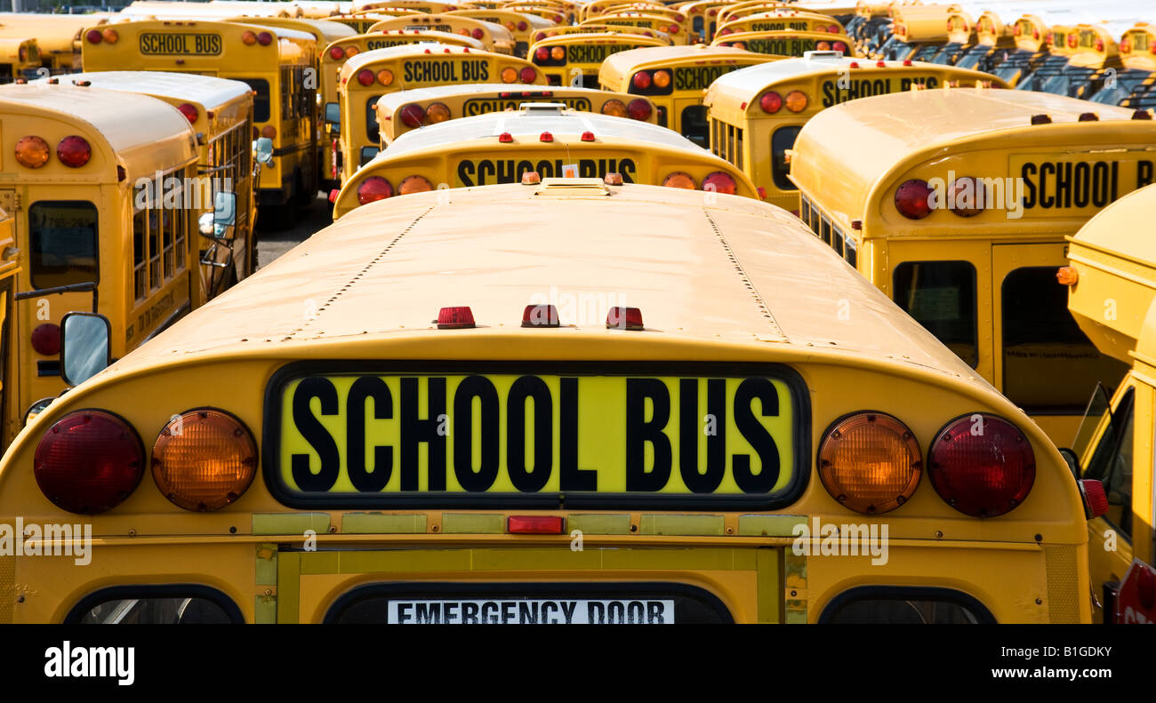 USA school busses Stock Photo - Alamy