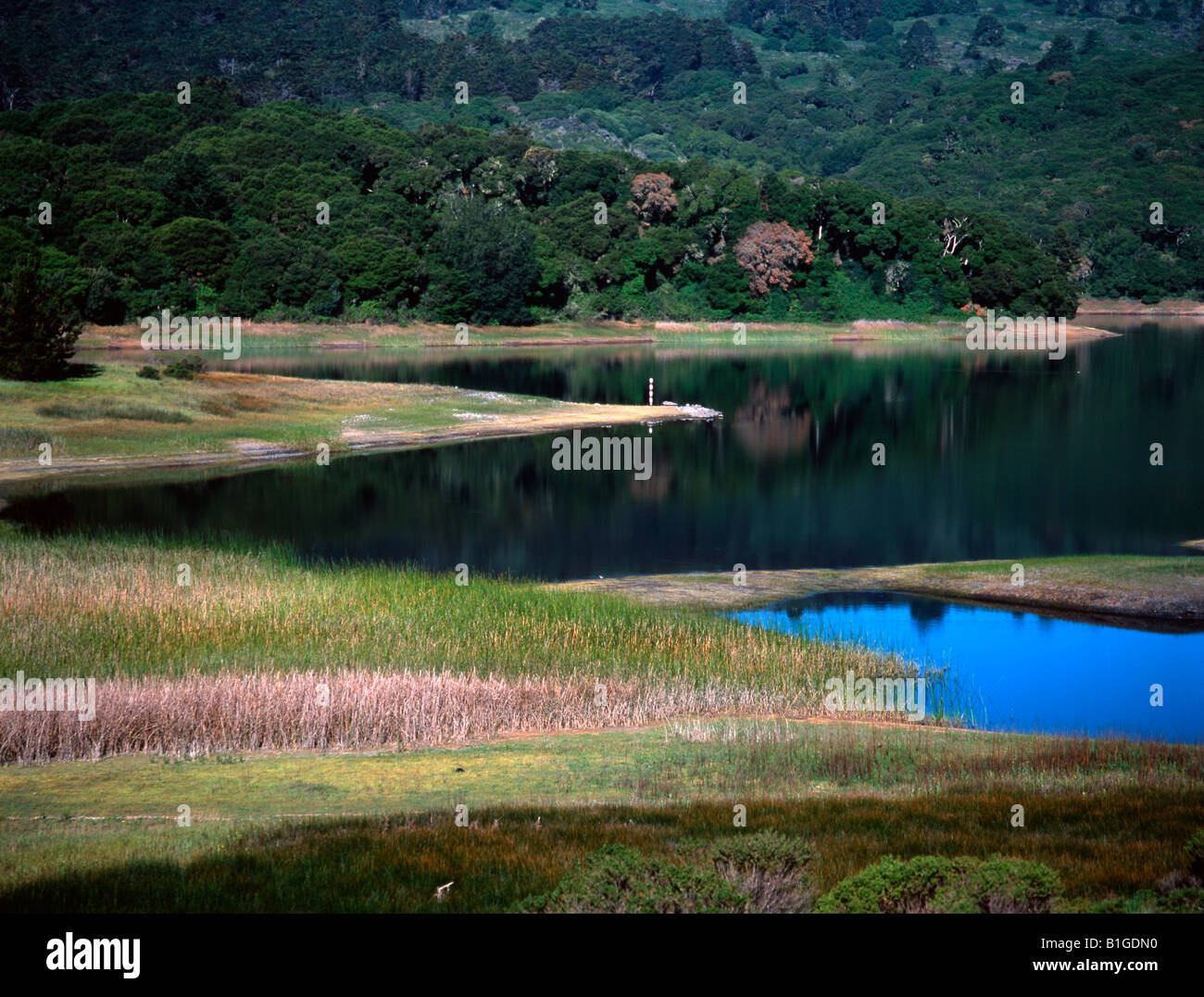 Crystal springs reservoir hi-res stock photography and images - Alamy
