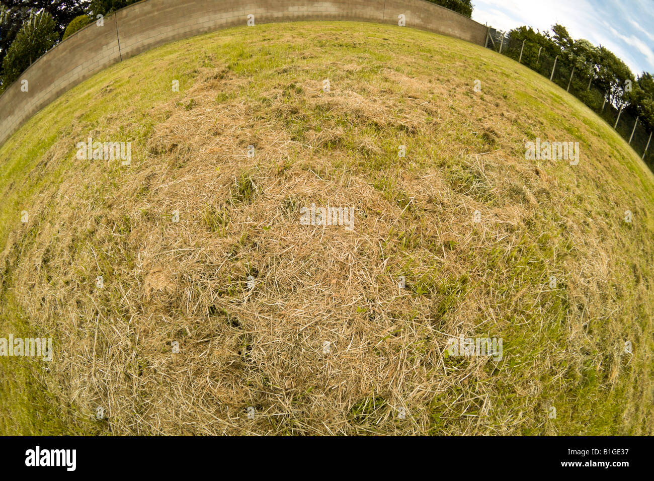 Mown lawn with grass cuttings left as mulch fisheye view Stock Photo ...