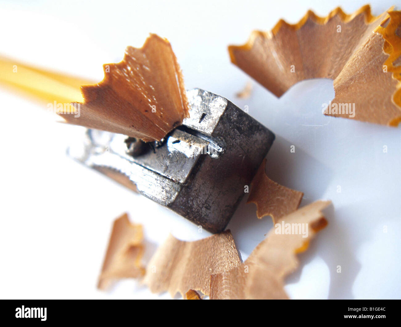 Studio shot of pencil in a pencil sharpener Stock Photo - Alamy