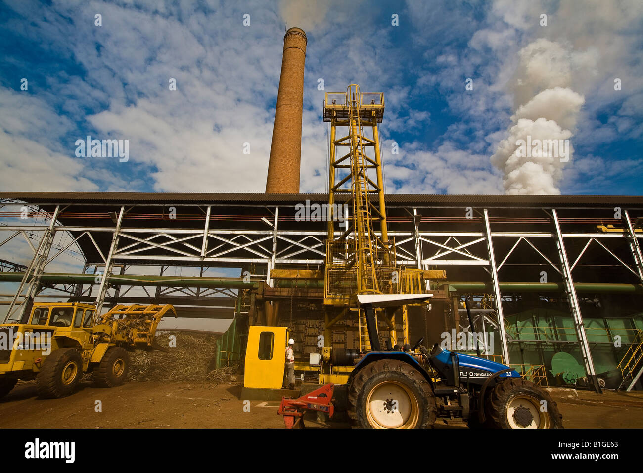 Sao Francisco ethanol and sugar plant Tractor feeds grinder with ...