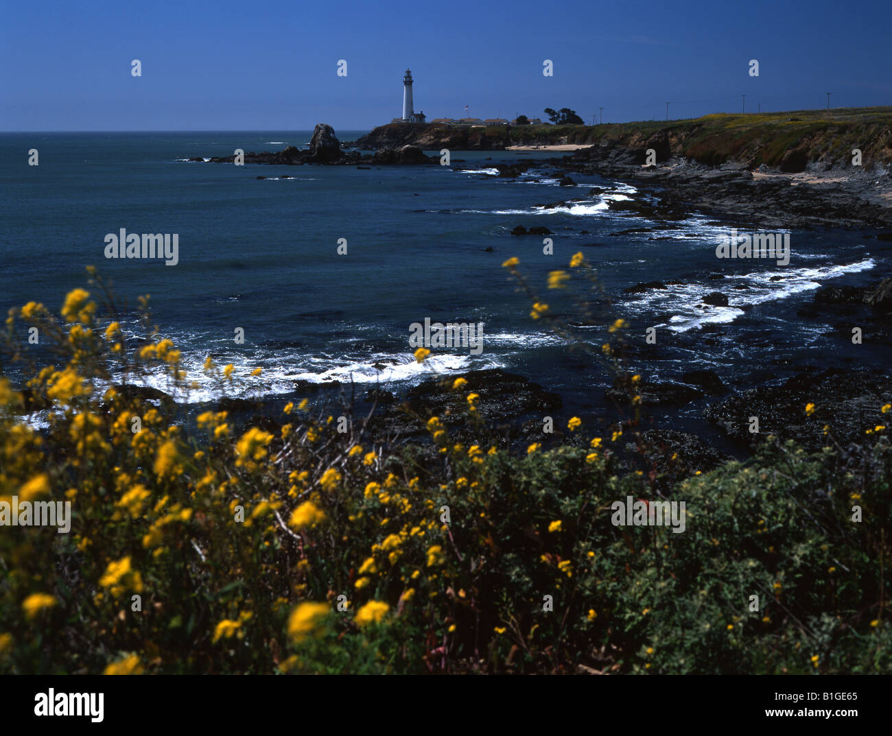 Pigeon Point, San Mateo County, California, USA Stock Photo - Alamy