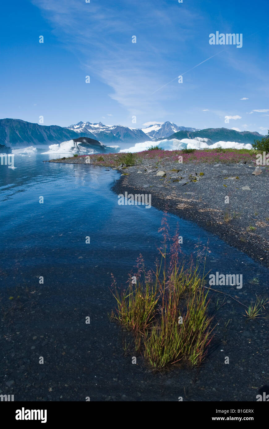 Clearing fog on iceberg filled Bear Lake Kenai Fjords National Park ...