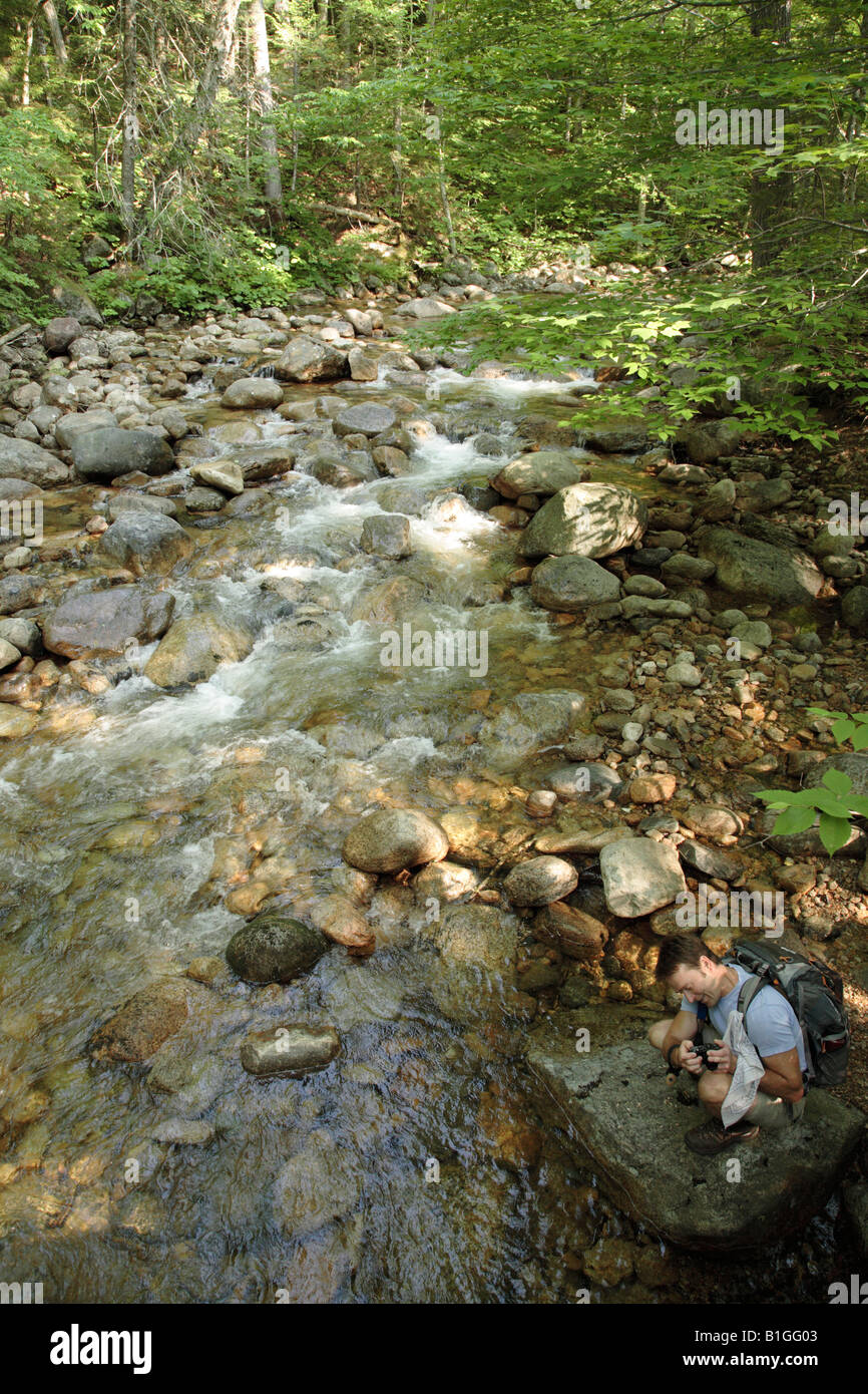 A hiker explores the Mad River on the side of Greeley Ponds Trail in ...