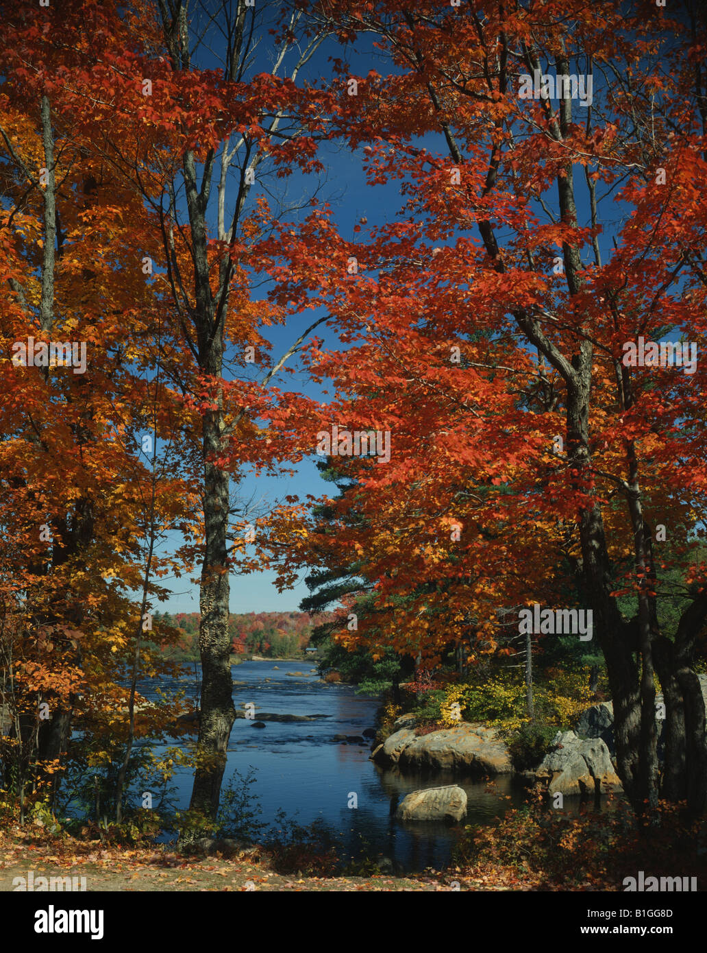 Moose River in the Adirondack Mountains (Autumn Stock Photo - Alamy