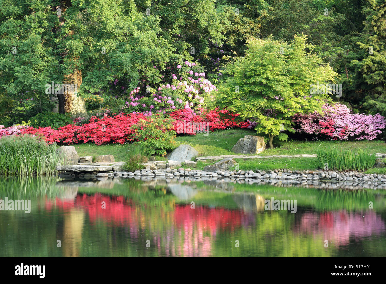 Japanese garden in the spring Stock Photo - Alamy