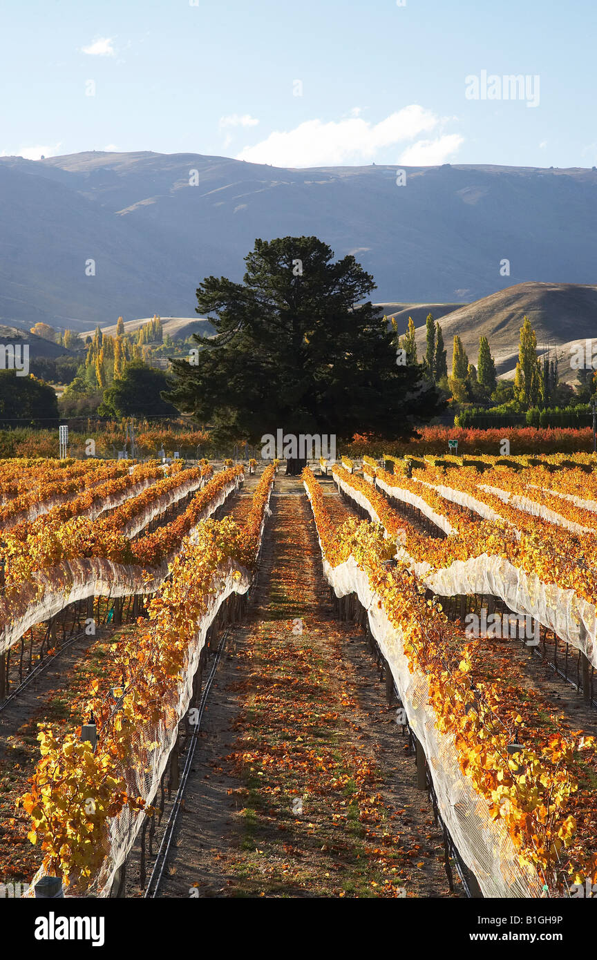 Wooing hi-res stock photography and images - Alamy