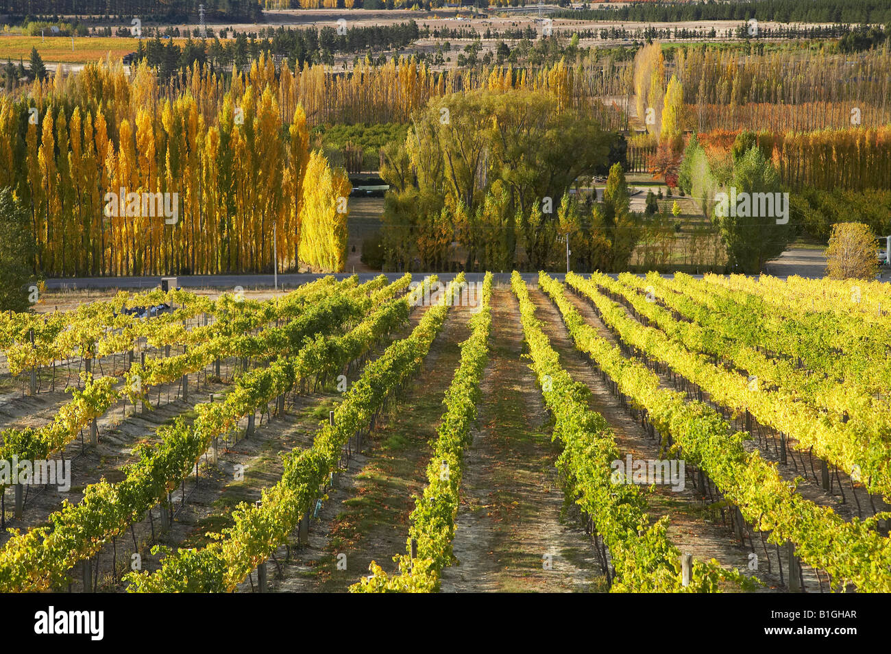 Mt difficulty new zealand hi-res stock photography and images - Alamy