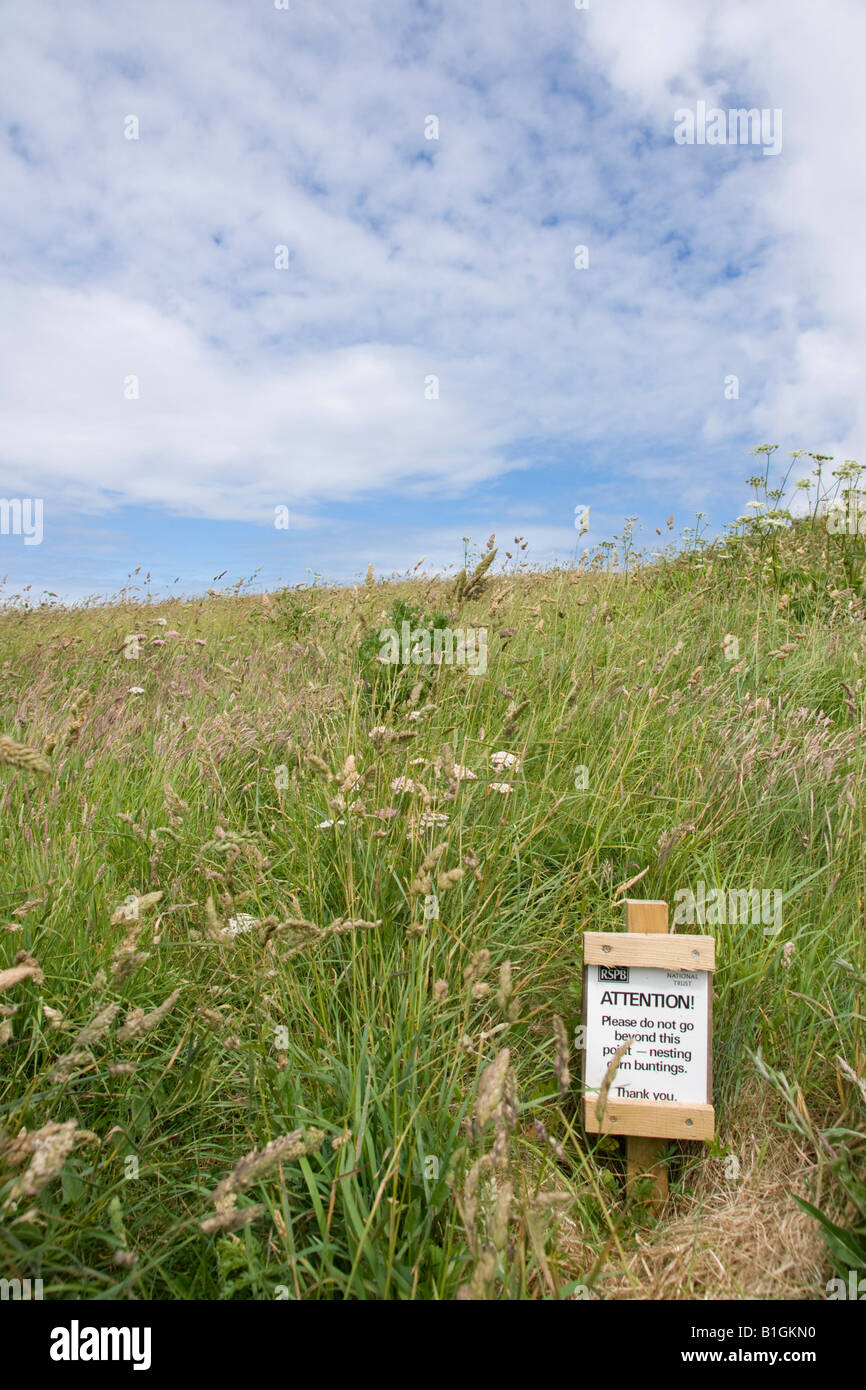 Nesting birds warning sign hi-res stock photography and images - Alamy