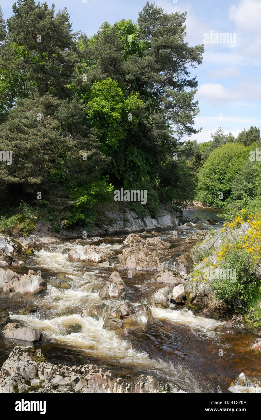 The River Dulnain at Carrbridge Badenoch and Strathspy Inverness-shire ...