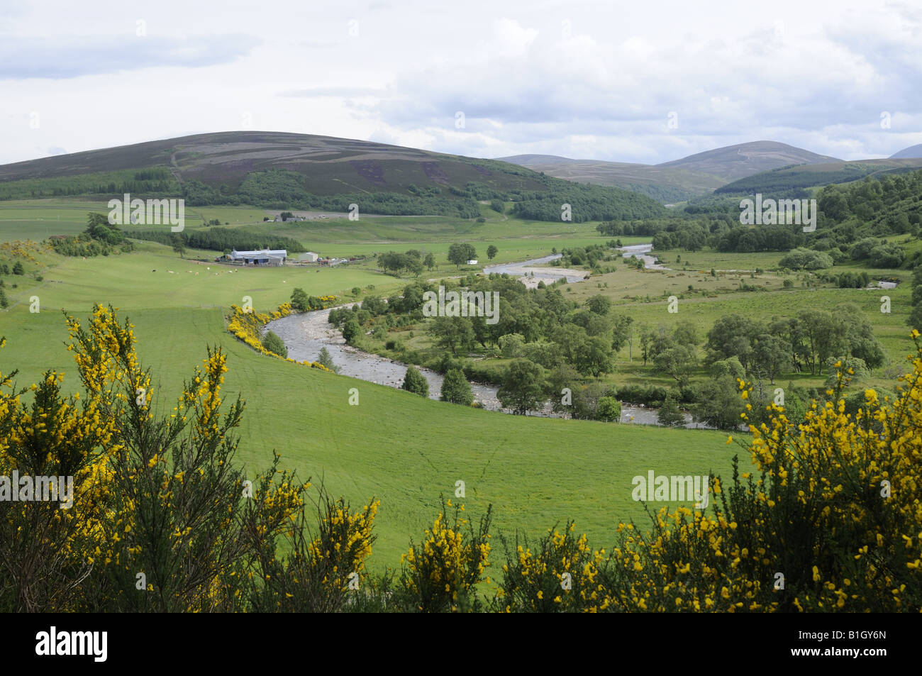 The River Avon near Tomintoul Grampian Region Scotland Stock Photo - Alamy