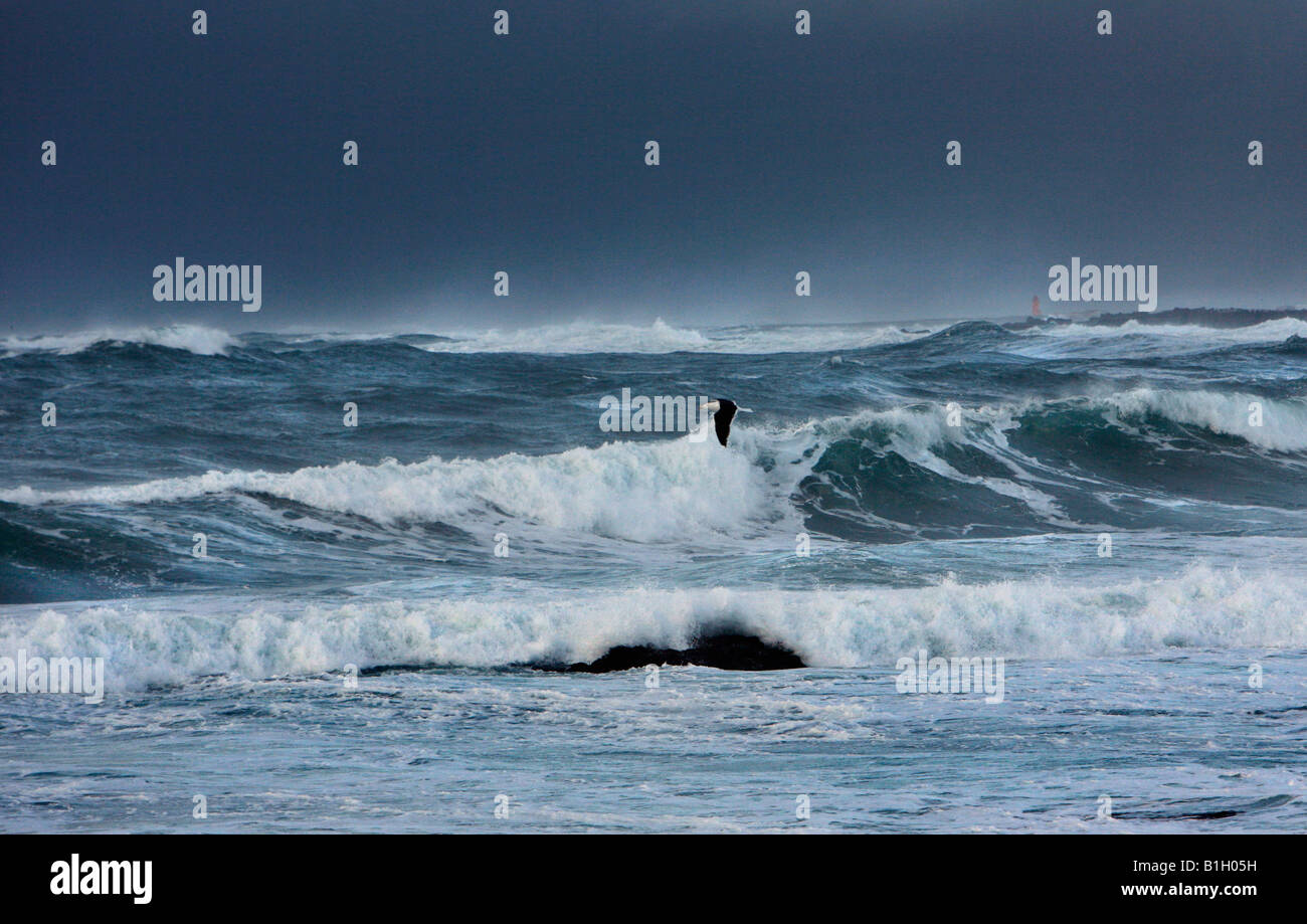 Reykjanes iceland surf hi-res stock photography and images - Alamy