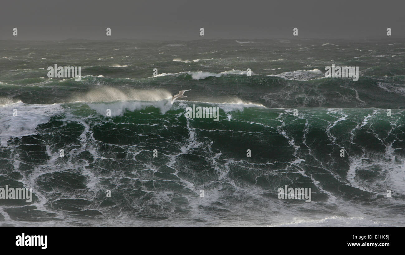 Reykjanes iceland surf hi-res stock photography and images - Alamy