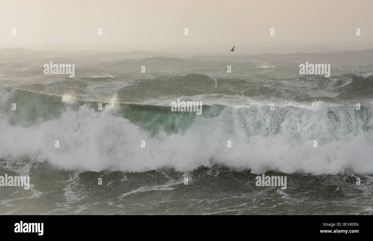 Rough sea and surf in Reykjanes Iceland Stock Photo - Alamy