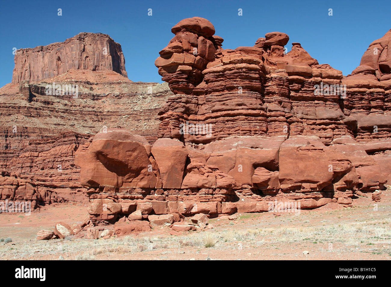 Rock formations on a landscape, Canyonlands National Park, Utah, USA ...