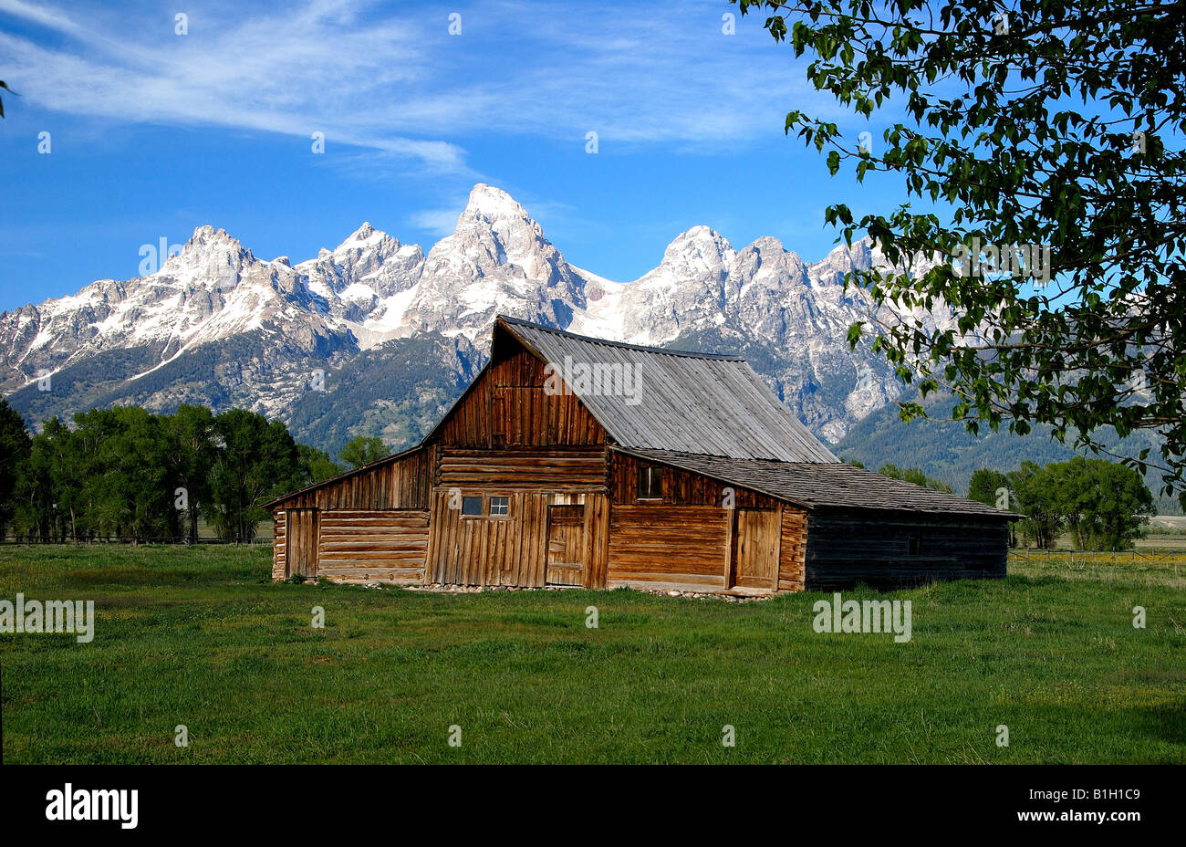 Barn in a field with a mountain range in the background, Grand Teton ...