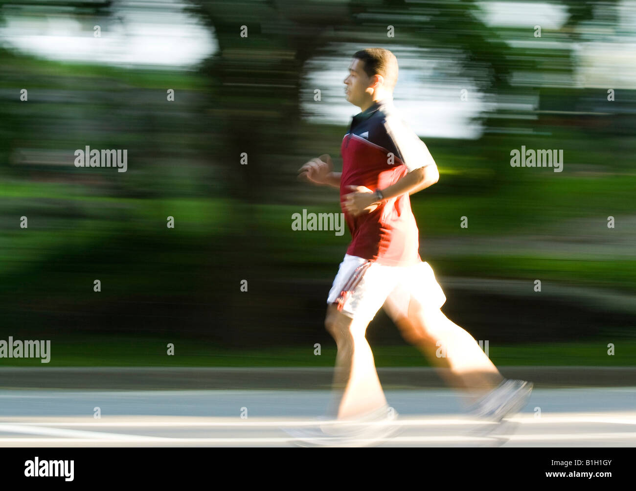 A runner jogs through Central Park in New York Stock Photo - Alamy