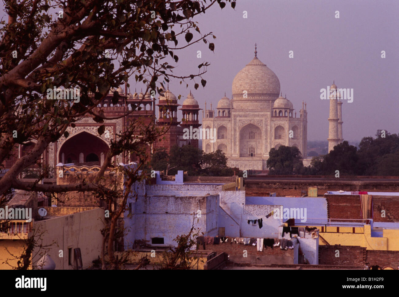 Agra street with Taj Mahal, India Stock Photo - Alamy