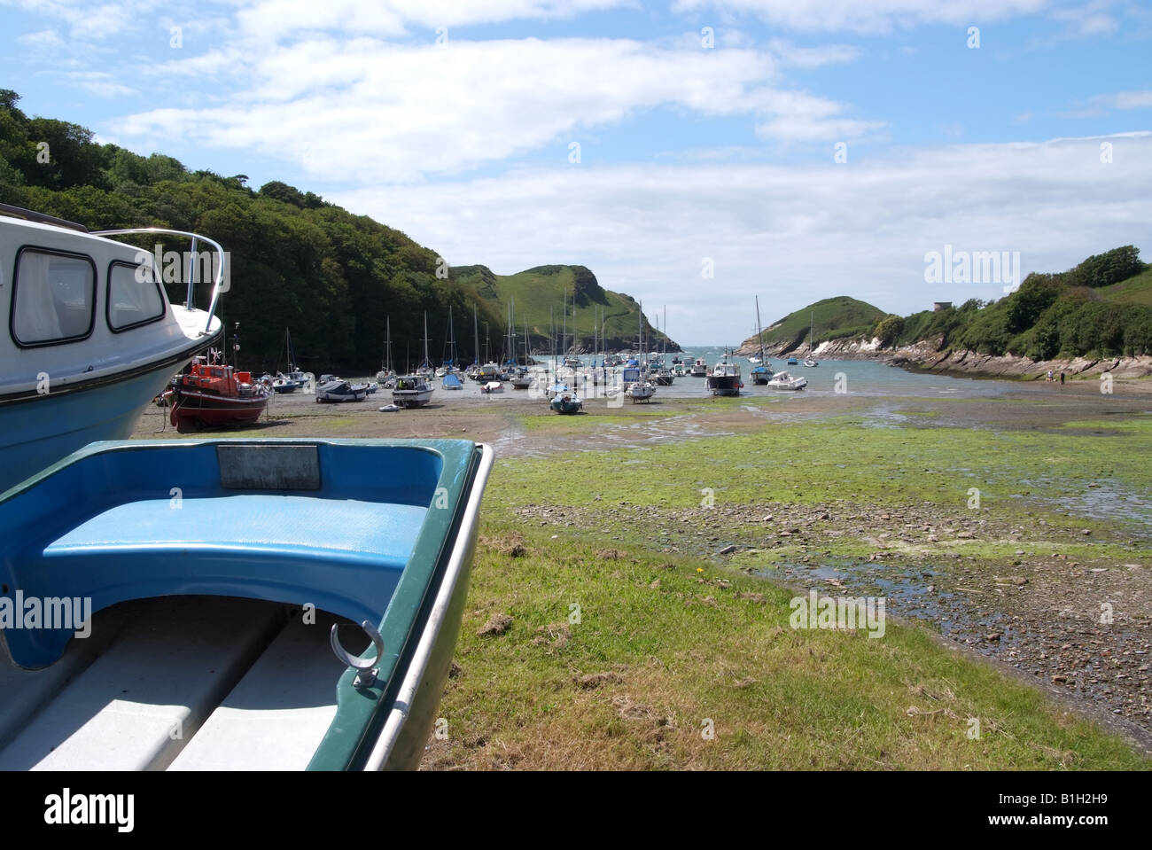 WATERMOUTH COVE. DEVON. ENGLAND. UK Stock Photo - Alamy