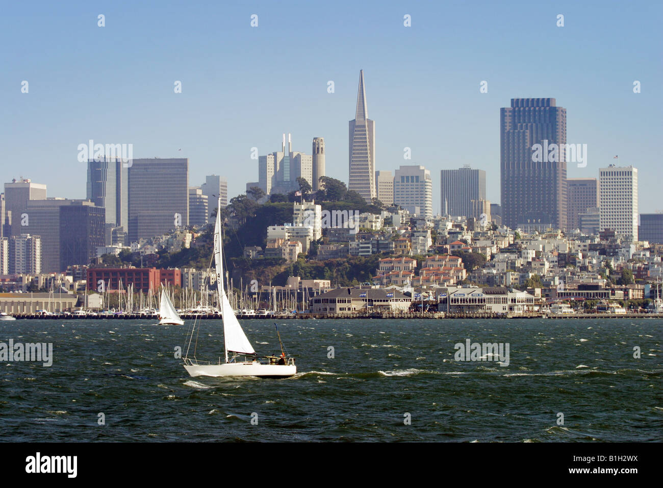 San Francisco skyline and yachts sailing in the Bay, California, USA ...