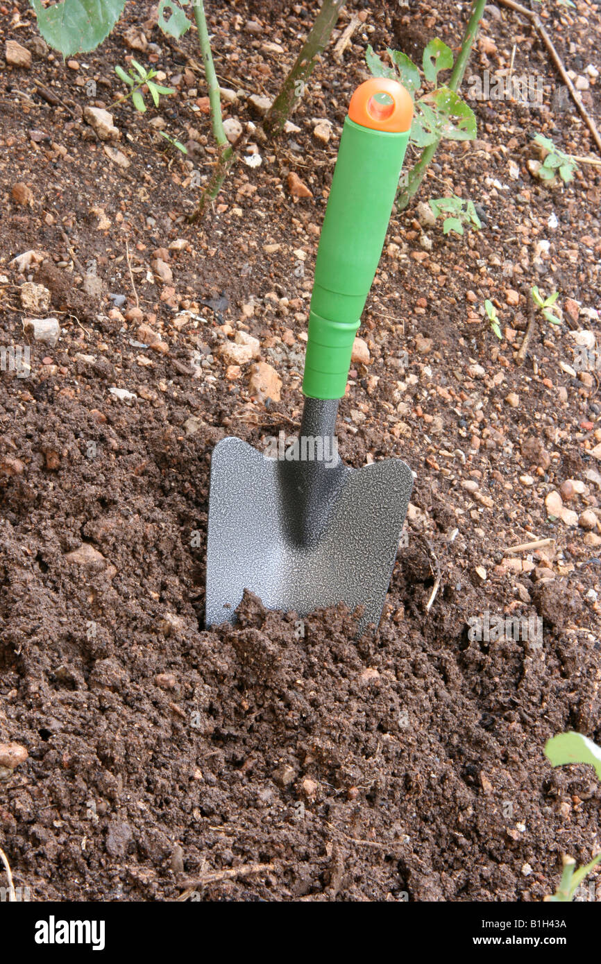 garden and tools metallic digging shovel in soil and small plants Stock ...