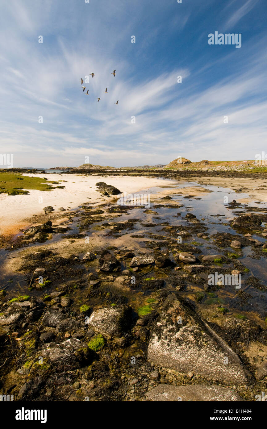 fidden bay isle of mull scotland Stock Photo - Alamy