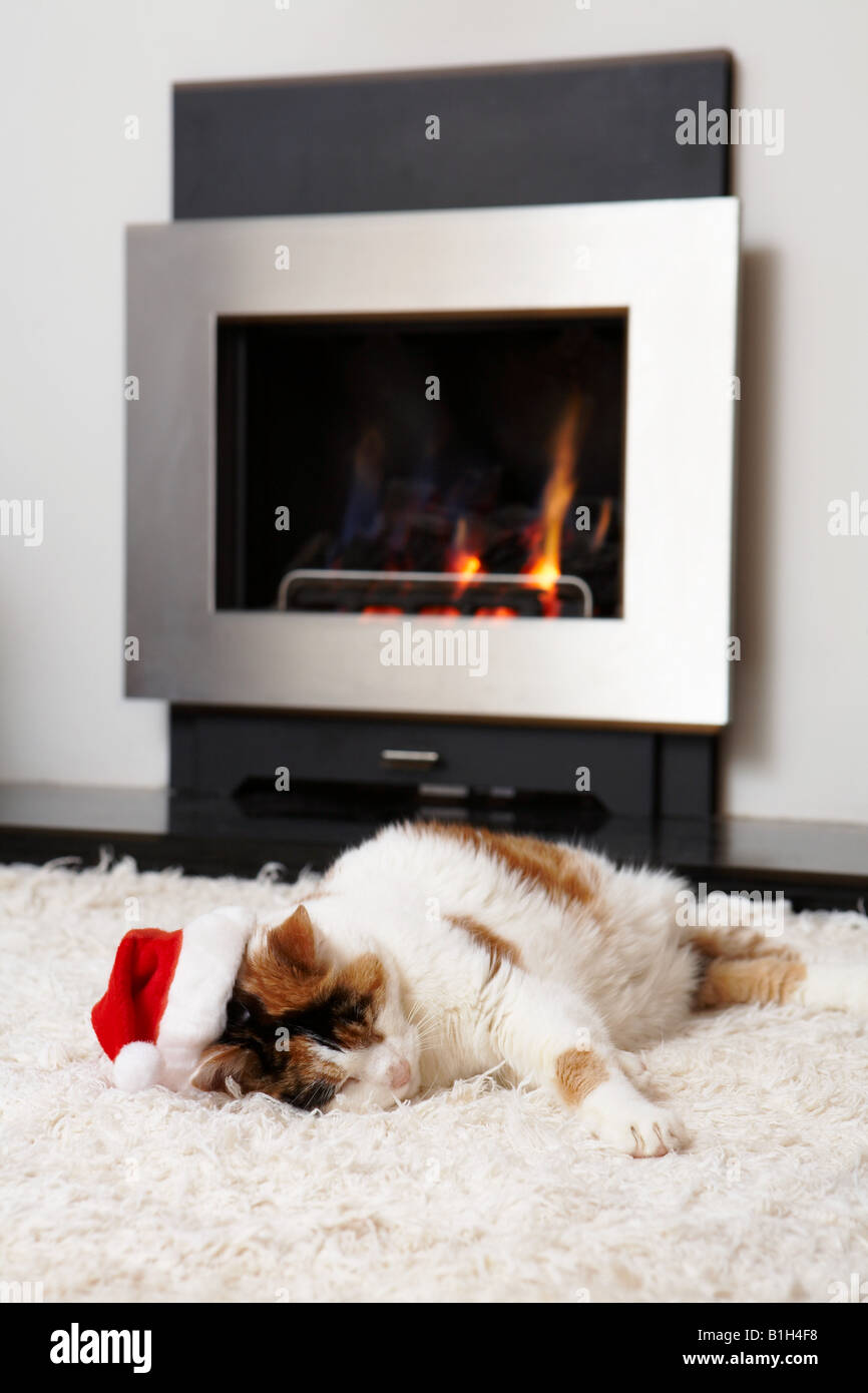 Sleeping cat by the fire hi-res stock photography and images - Alamy