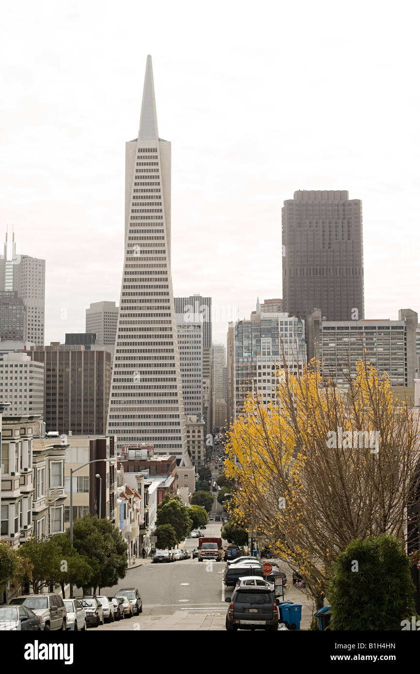 Transamerica pyramid san francisco Stock Photo - Alamy