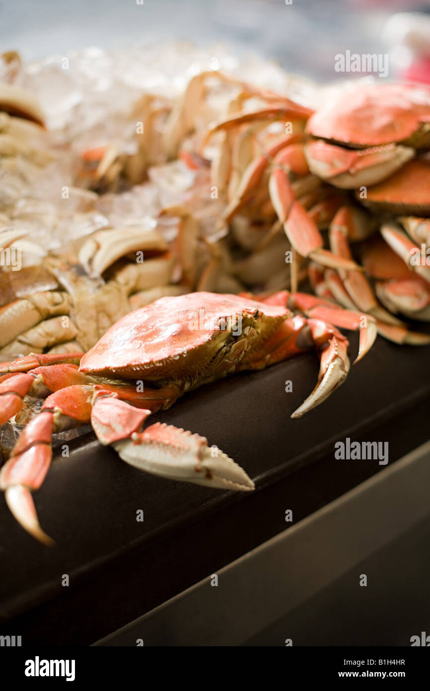 Lots of crabs hi-res stock photography and images - Alamy