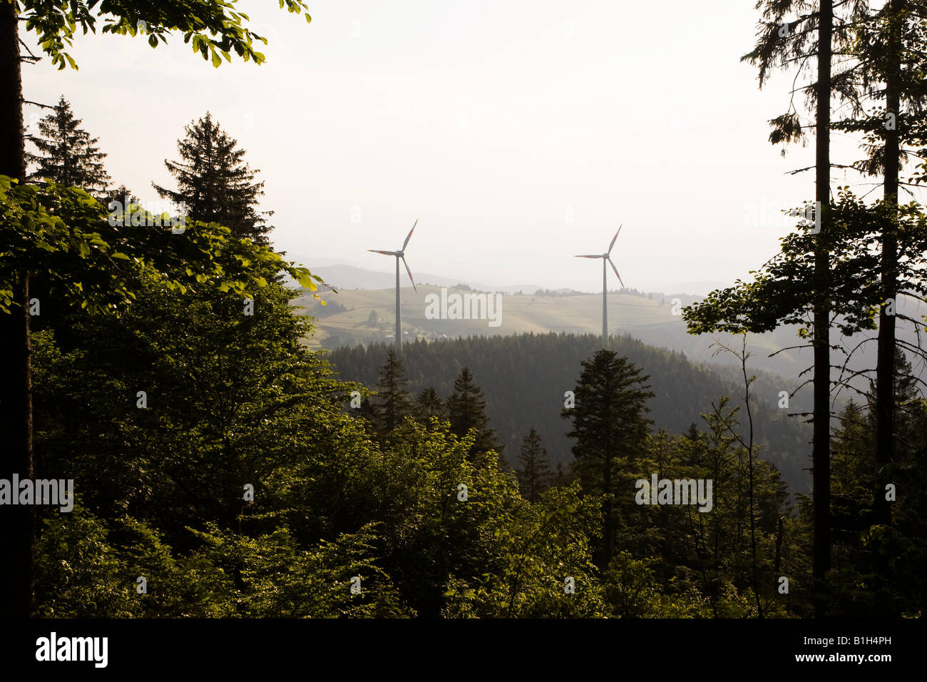 Forest and wind turbines Stock Photo - Alamy