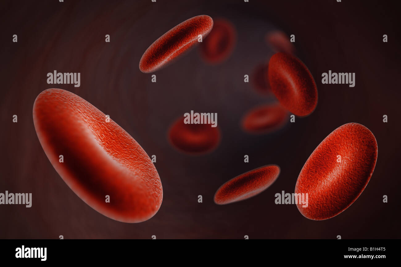 Red blood cells Stock Photo - Alamy