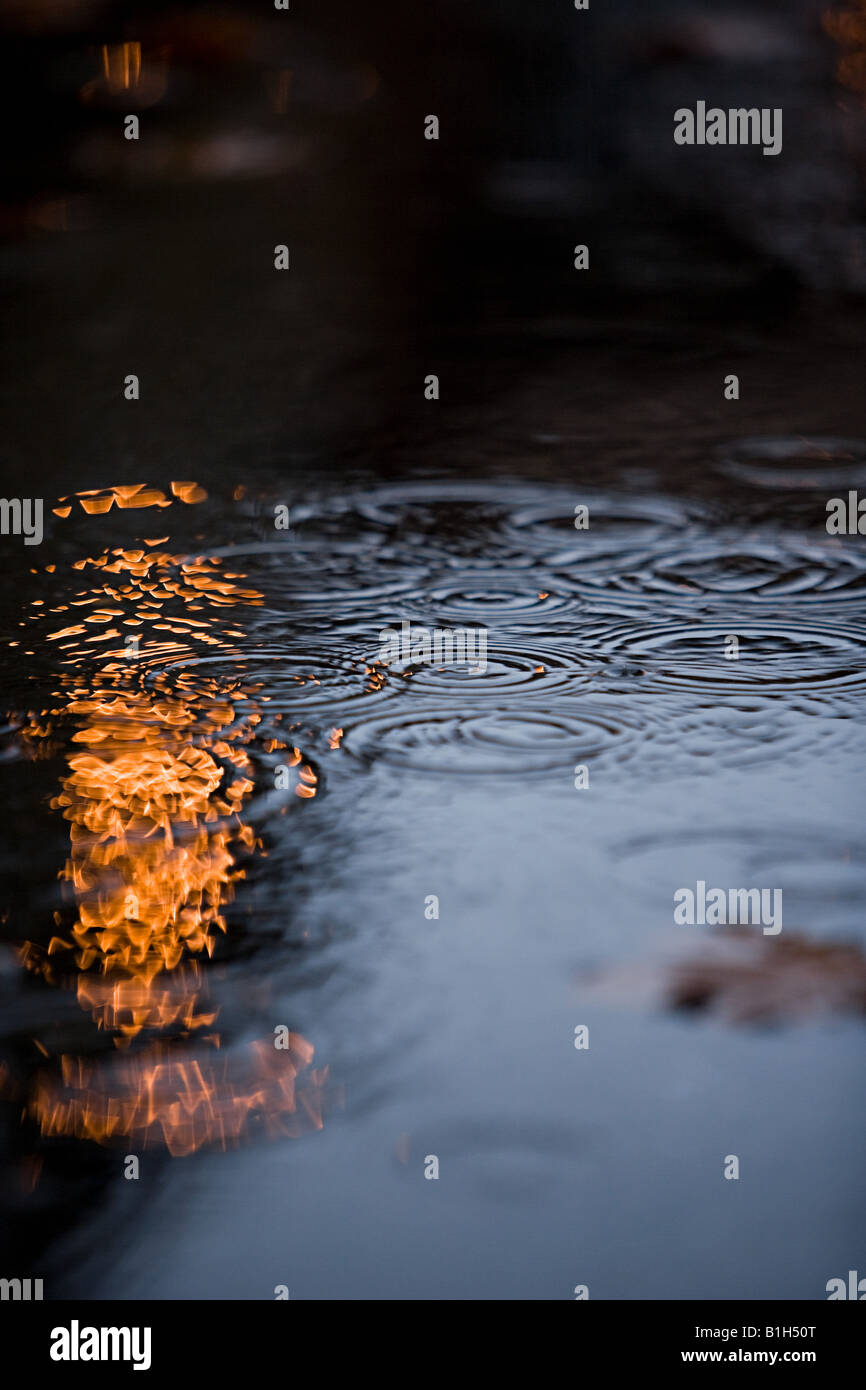 Reflection and ripples in water Stock Photo - Alamy